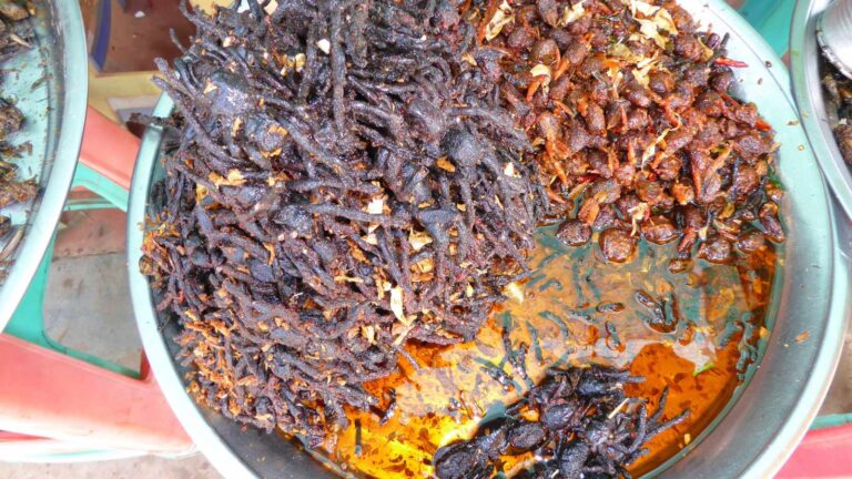 15 Most Controversial Foods From Around the World - Health Makes You