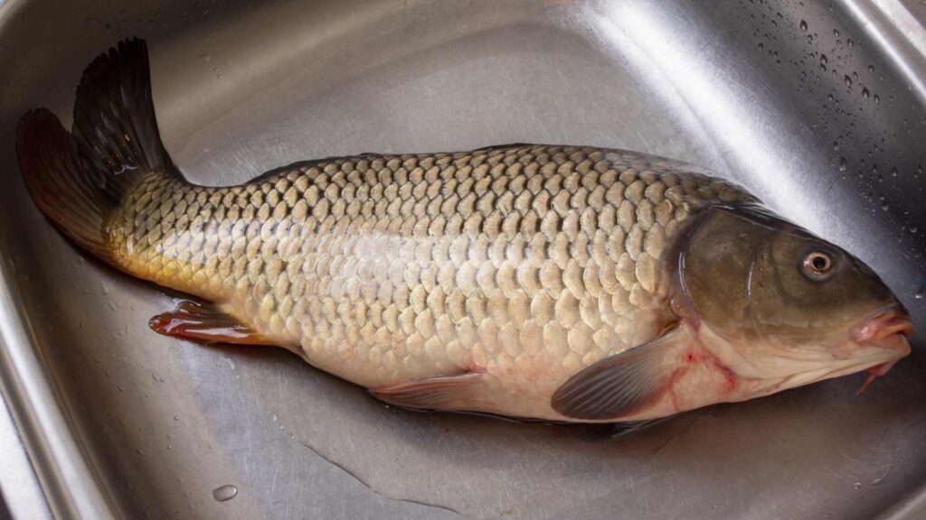 8 American Food Taboos Other Countries May Find Strange - Health Makes You