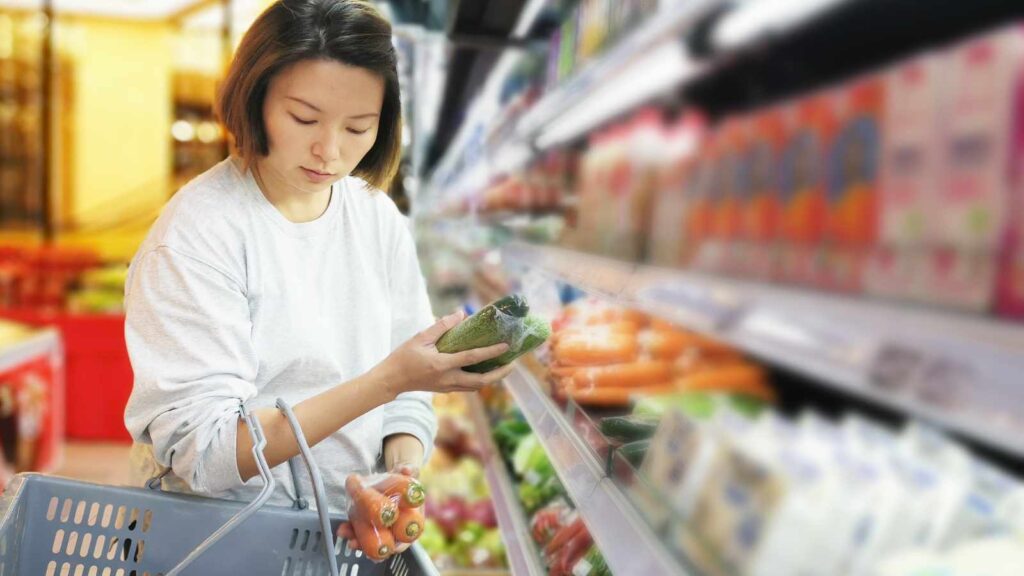 Florida Beware: 13 Wild Animals That Cause Serious Problems Here ...