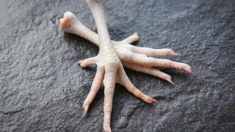 15 Food History Facts That Sound Made up but Aren't - Health Makes You