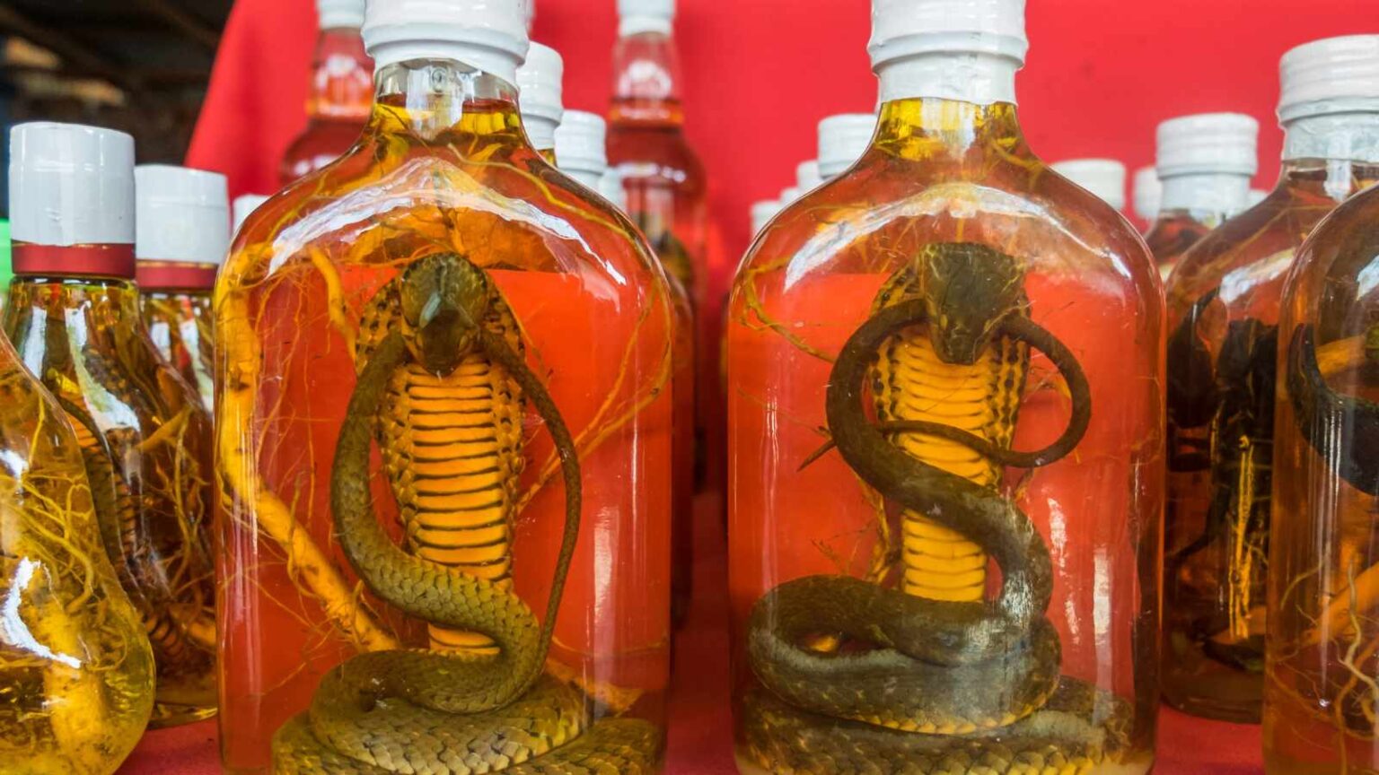 13 Weird Foods in China - Health Makes You